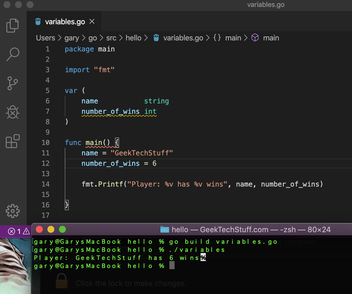 Variable Basics (Go) – GeekTechStuff
