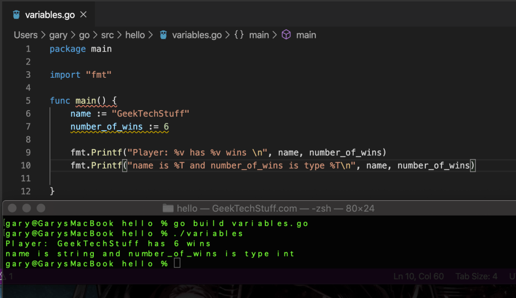 Variable Basics (Go) – GeekTechStuff